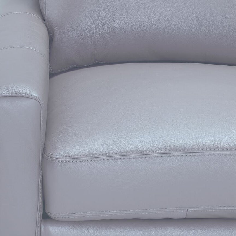 Arcadia Leather Sofa - Silver Grey | Furniture.ca